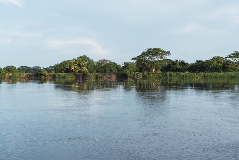 View of the River Surrounded by Vegetation Stock Photo - Image of river ...