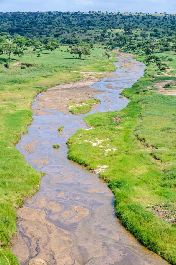 View of the River in the Tarangire Park, Tanzania Stock Photo - Image ...