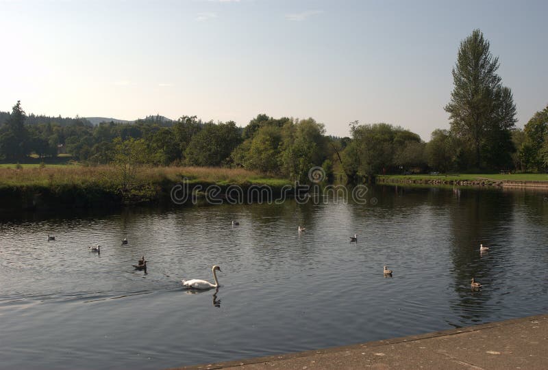 View of River Teith at Callander in Summer Stock Image - Image of ...