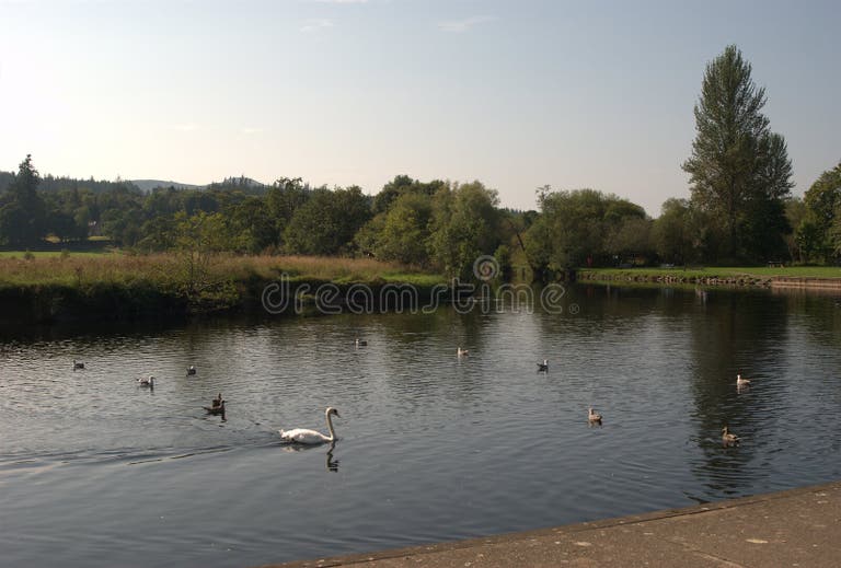 View of River Teith at Callander in Summer Stock Image - Image of ...