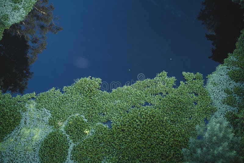 A View of the River Water from Above with the Reflection of Trees ...