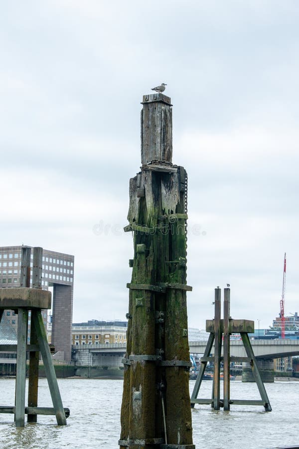 A View from the Riverbed of the River Thames of One of the Pier ...