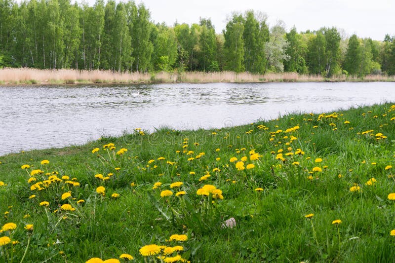 View of riverside stock photo. Image of nature, named - 83122068