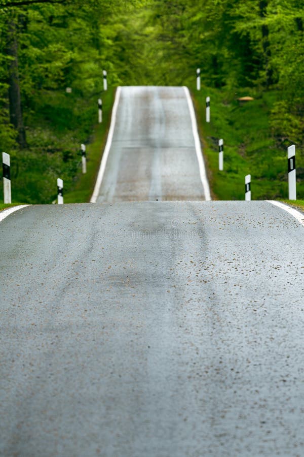View of the Road Going Up and Down the Hill through the Green Forest ...