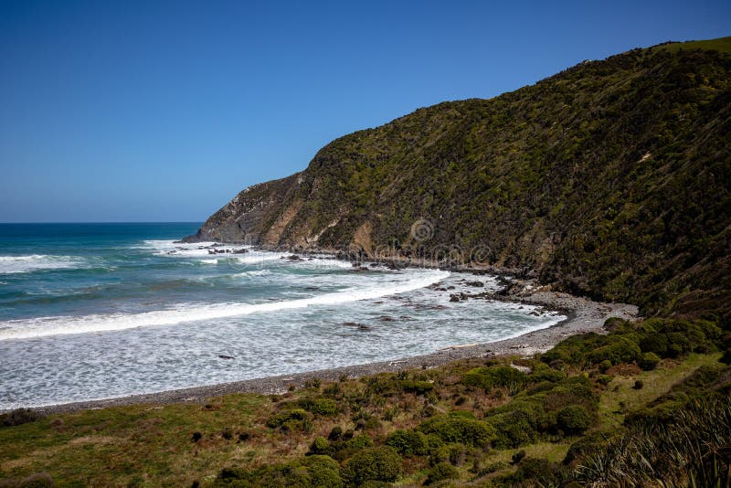 View of Roaring Bay, Catlins, New Zealand Stock Image - Image of ...