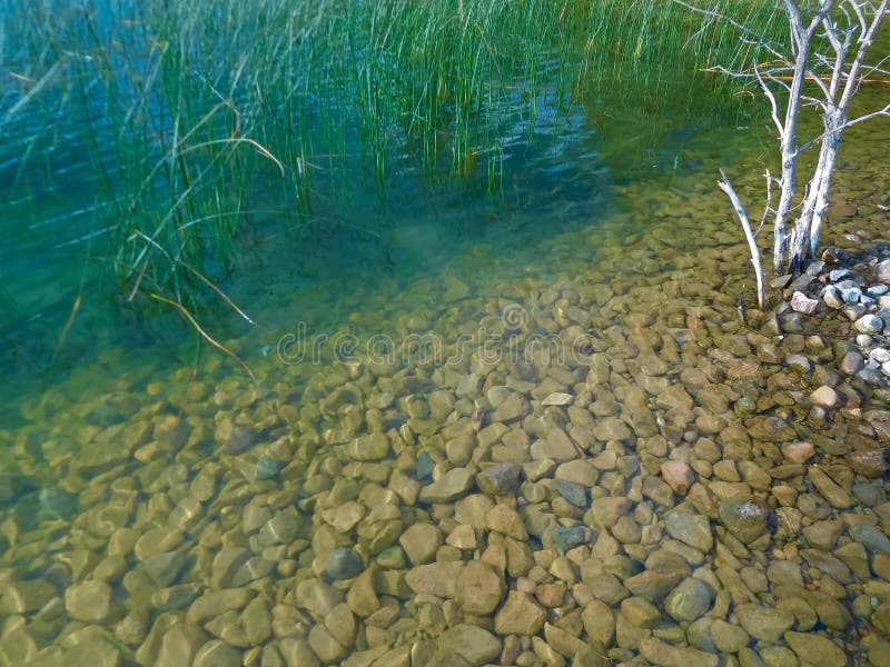 View of a Rock Bottom from a Boat Launch Stock Photo - Image of pure ...