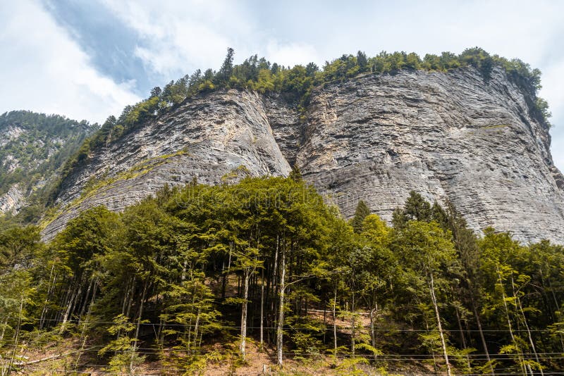 View of Rock Mountain Rock Cliff with Forest. Stock Photo - Image of ...