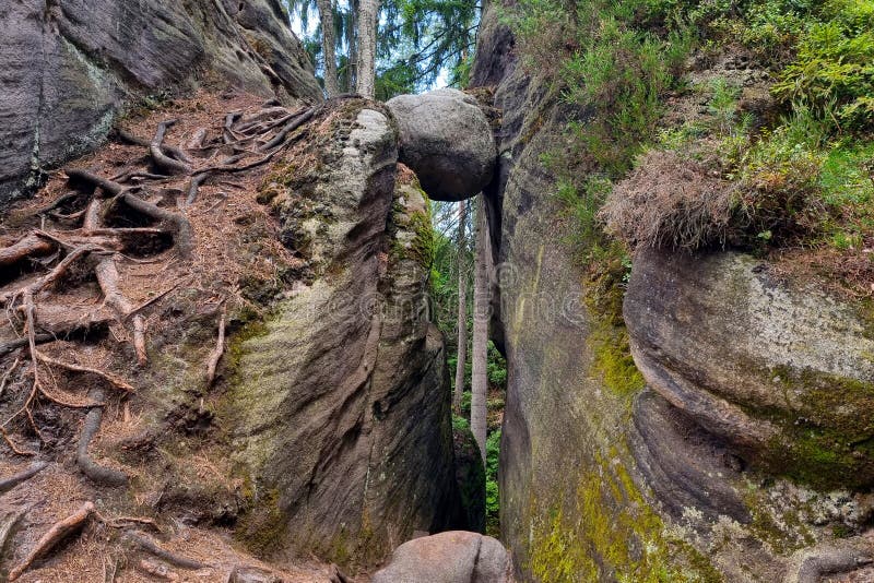 View of the Rocks with Greenery and Tree Roots. Stock Image - Image of ...