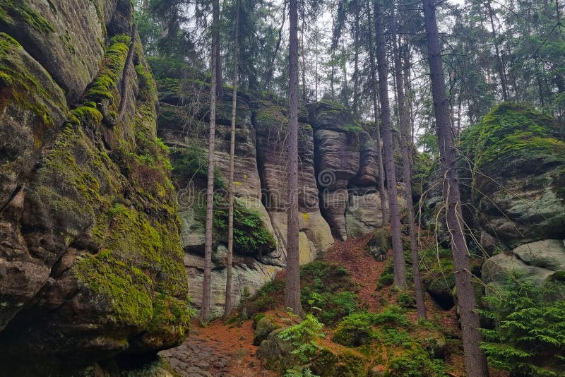 View of the Rocks in the Mystical Forest. the Background of Nature ...