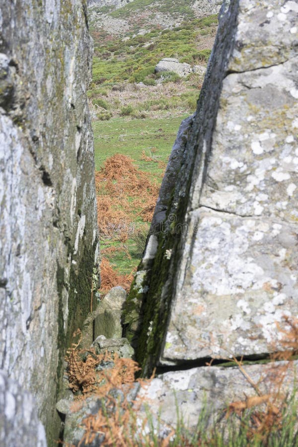 View between the Rocks To Complete the Green Landscape with Ferns on a ...