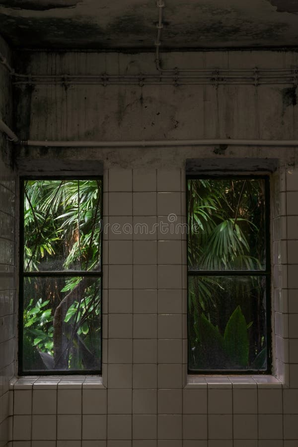 View from the Room To the Green Jungle Outside the Windows Stock Image ...