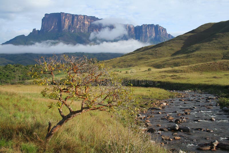A View of the Roraima Mountain in Venezuela Stock Photo - Image of ...
