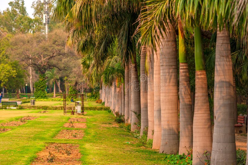 Rose Garden of South Delhi India Stock Image - Image of indian ...