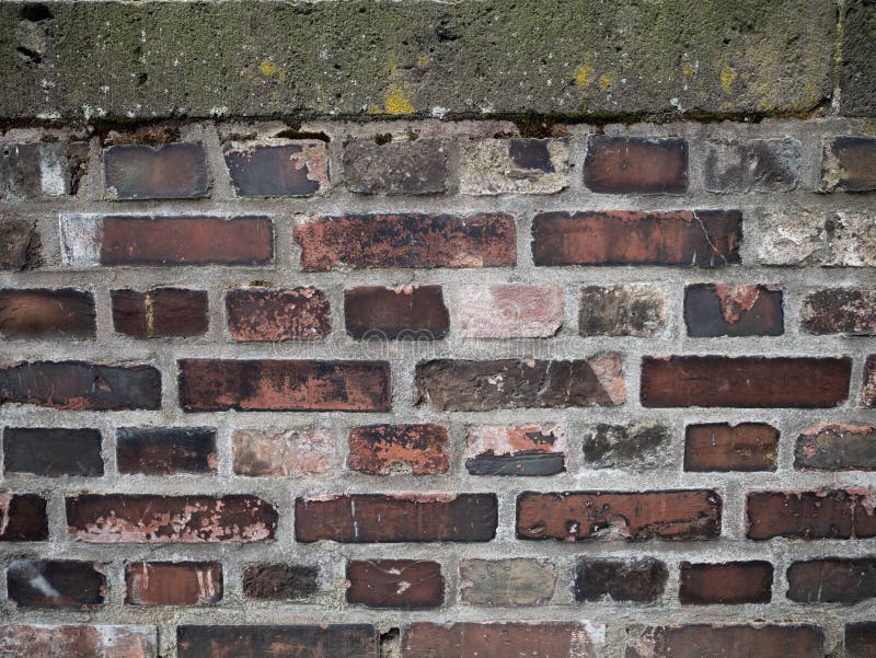 View of a rough brick wall stock photo. Image of concrete - 254546010