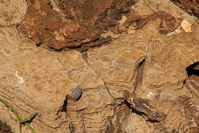 ROCK with STRIATED PATTERNS and CURVED LINES Stock Photo - Image of ...