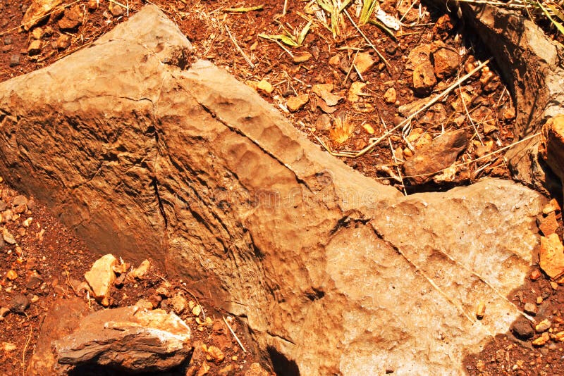 RIDGED PATTERNS on a ROCK stock photo. Image of natural - 106729666