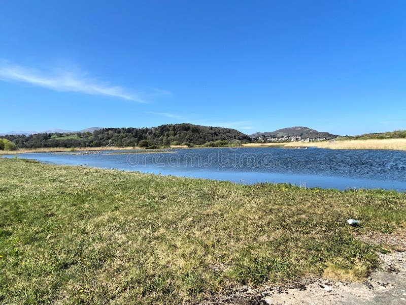 A View of RSPB Conwy Nature Reserve Stock Photo - Image of rspb ...