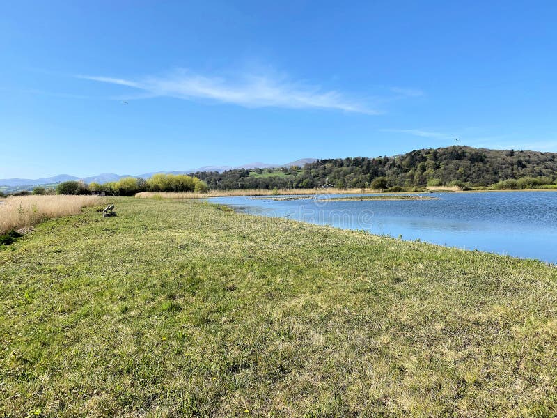 A View of RSPB Conwy Nature Reserve Stock Image - Image of view, rspb ...