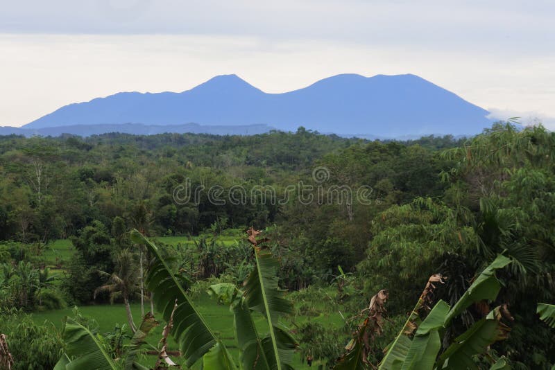View Rural Agricultural and Landscape in Sukabumi, West Java Indonesia ...