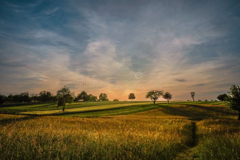 View of Rural Fields and Trees of Green Color Under the Blue Sky and ...