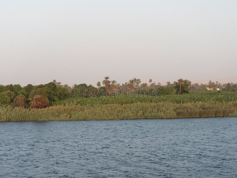 View of a Rural Image of the Rich Margin of the Great River Nile Egypt ...