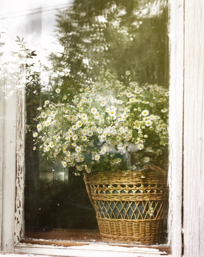 View of Rustic Window in the Summer, Flowers on the Windowsill Stock ...