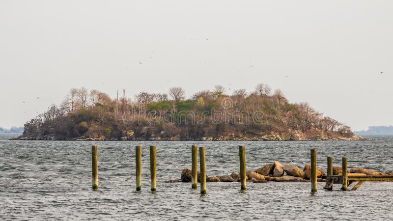 The View of Sakonnet River and a Small Island Stock Image - Image of ...