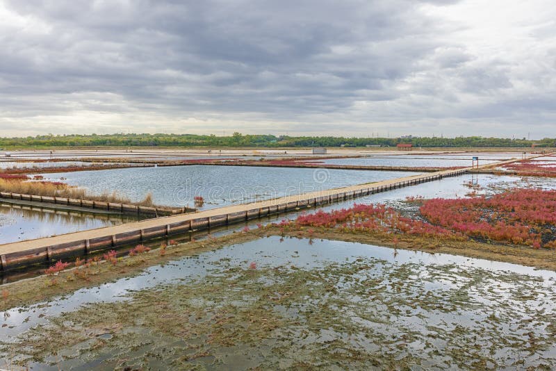 View of the Salt Pans in Nin Stock Image - Image of waterbirds, plant ...