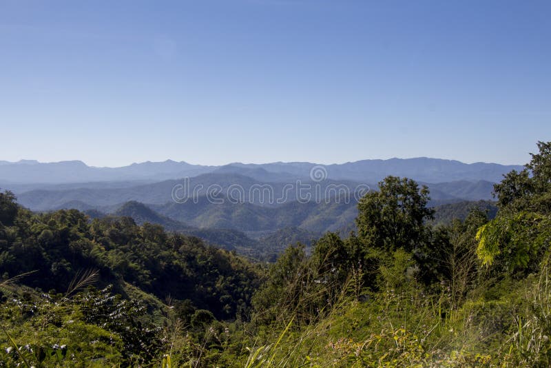 Panoramic View into Samoeng Forest Stock Image - Image of high ...