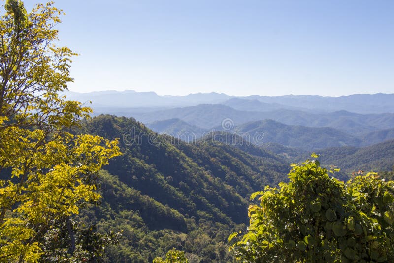 View into Samoeng Forest Mountains Stock Image - Image of scape ...