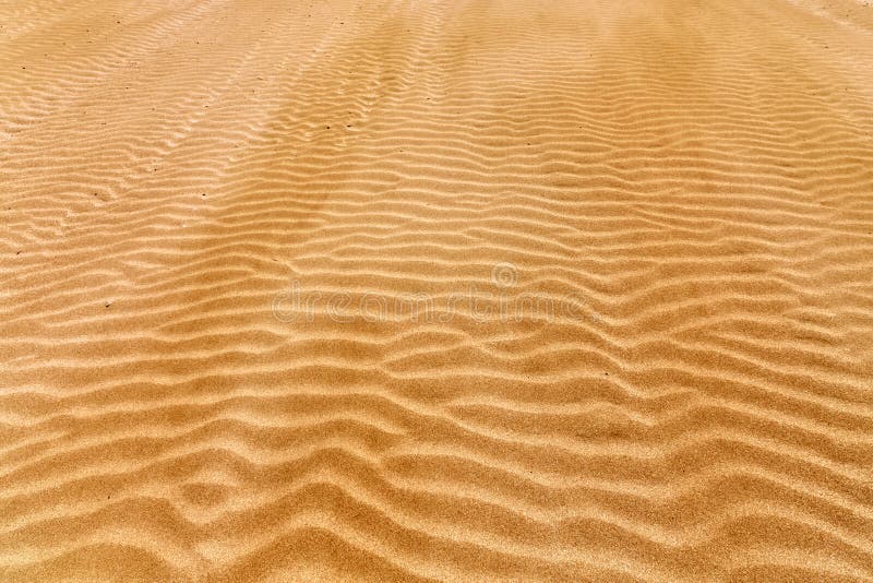 View of the Sand from the African Desert Stock Photo - Image of surface ...