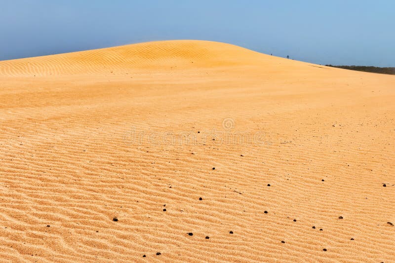 View of the Sand Dunes of the African Desert Stock Image - Image of ...