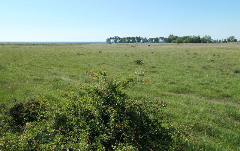 View of Sandby Shooting Range in Oland, Sweden Stock Image - Image of ...