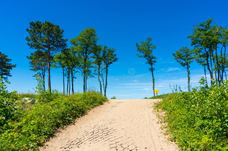 View of a Sandy Pathway Surrounded with Trees Captured during the ...