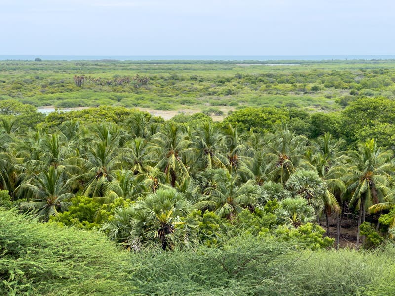 View of the Scenic Landscape Around the Ramar Patham Temple Complex ...