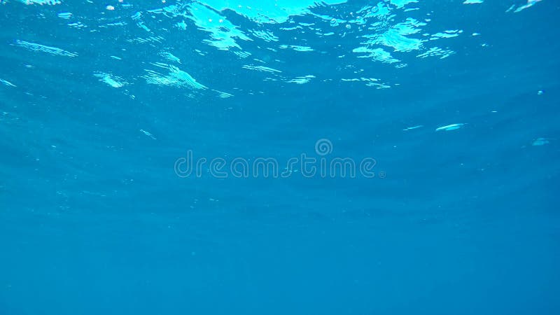 A View from a Scuba Diver of Surfacing from Under the Water. Stock ...