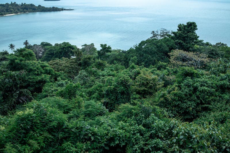 View of the Sea from Above. Beautiful Ocean. Ship. Summer Stock Image ...