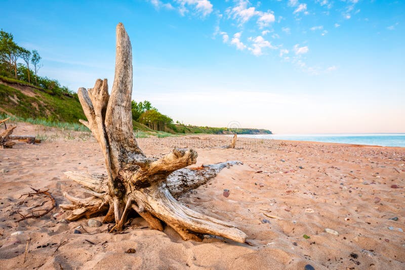 View of the Sea Beach and Bluffs Stock Photo - Image of relaxation ...