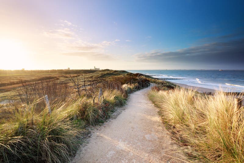 View on Sea Beach from Path on Dunes Stock Photo - Image of scenery ...