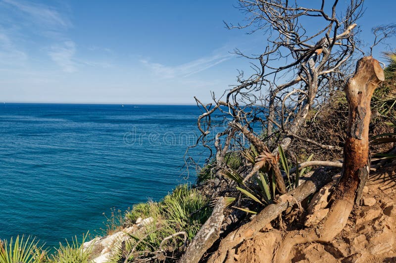 View of the Sea and the Coastal Cliff Stock Image - Image of coast ...