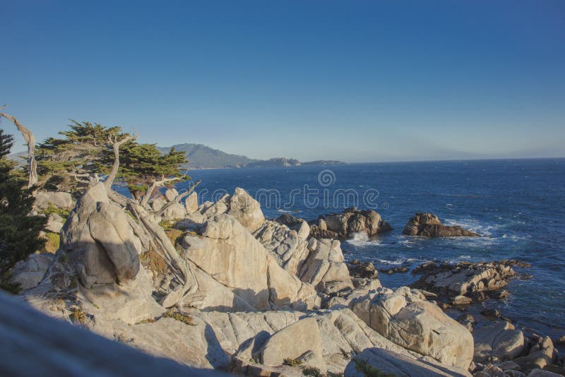 Pescadero Point - Pebble Beach, California Stock Photo - Image of grove ...