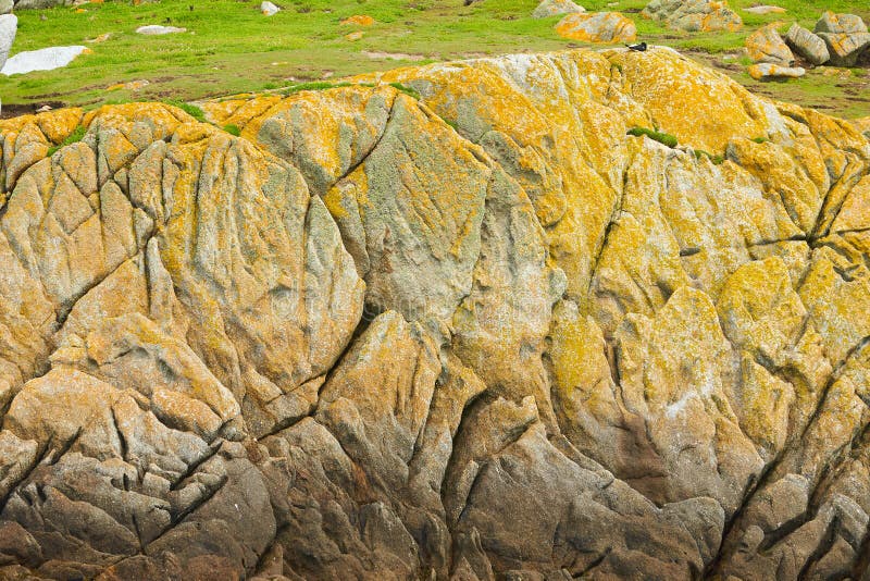 View from the Sea To the Greeny Cliffs with Exotic Trees, Moss and Blue ...