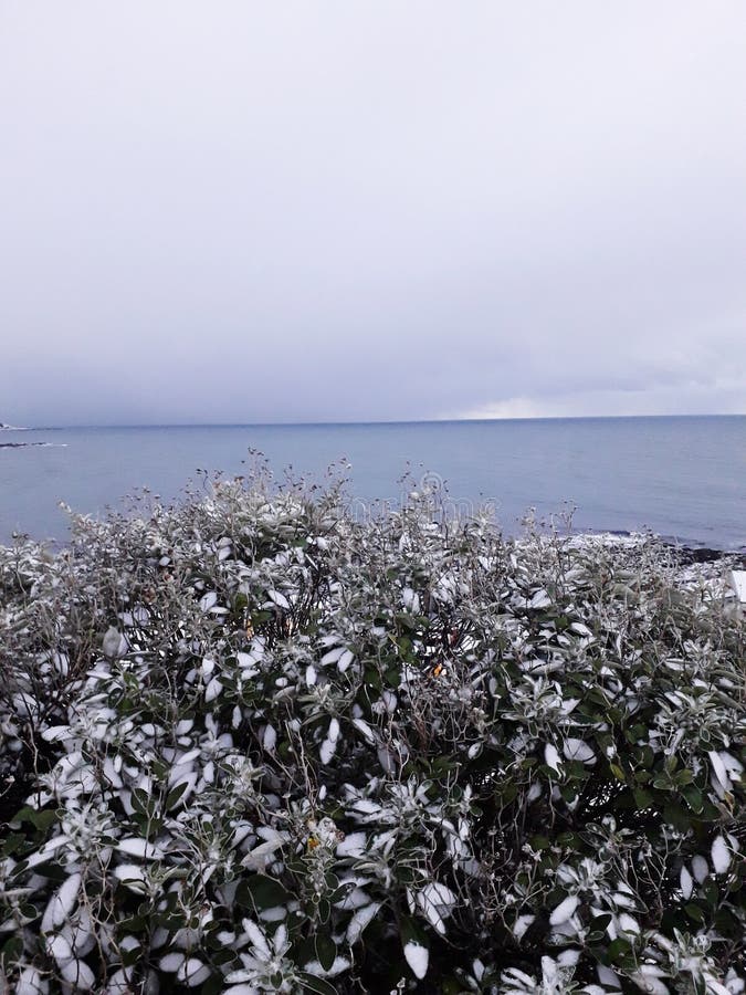 View of the Sea and Cloudy Sky in a Snowy Winter Stock Image - Image of ...