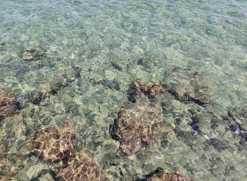 Clean Sea Water in Mediterranean Sea in a Beach in Mersin Stock Image ...