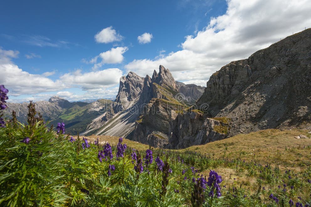 View of the Seceda Area in the Italian Dolomites Stock Photo - Image of ...