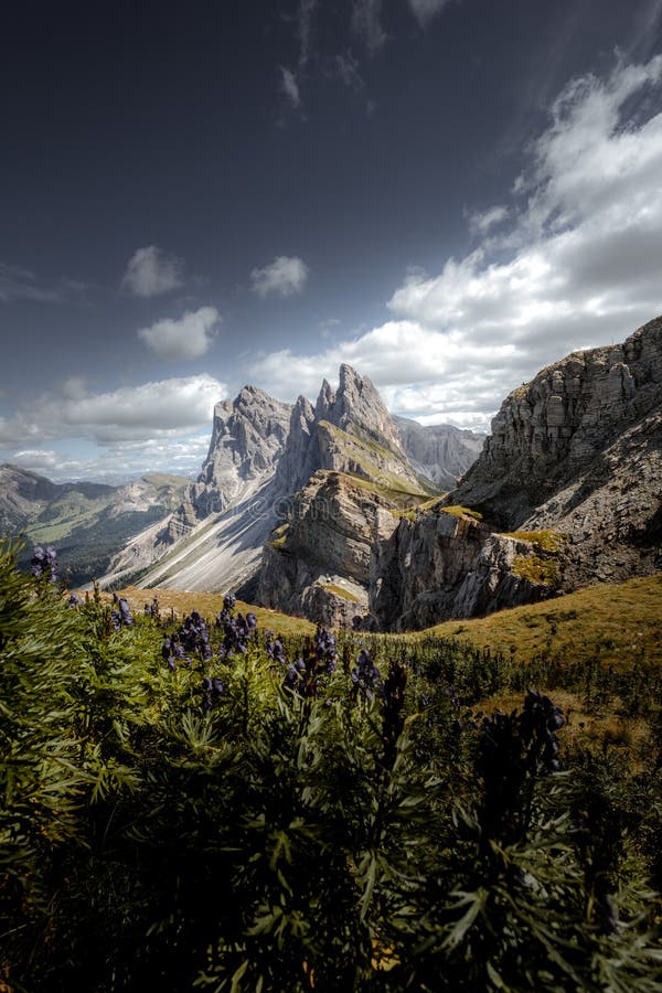View of the Seceda Area in the Italian Dolomites Stock Illustration ...
