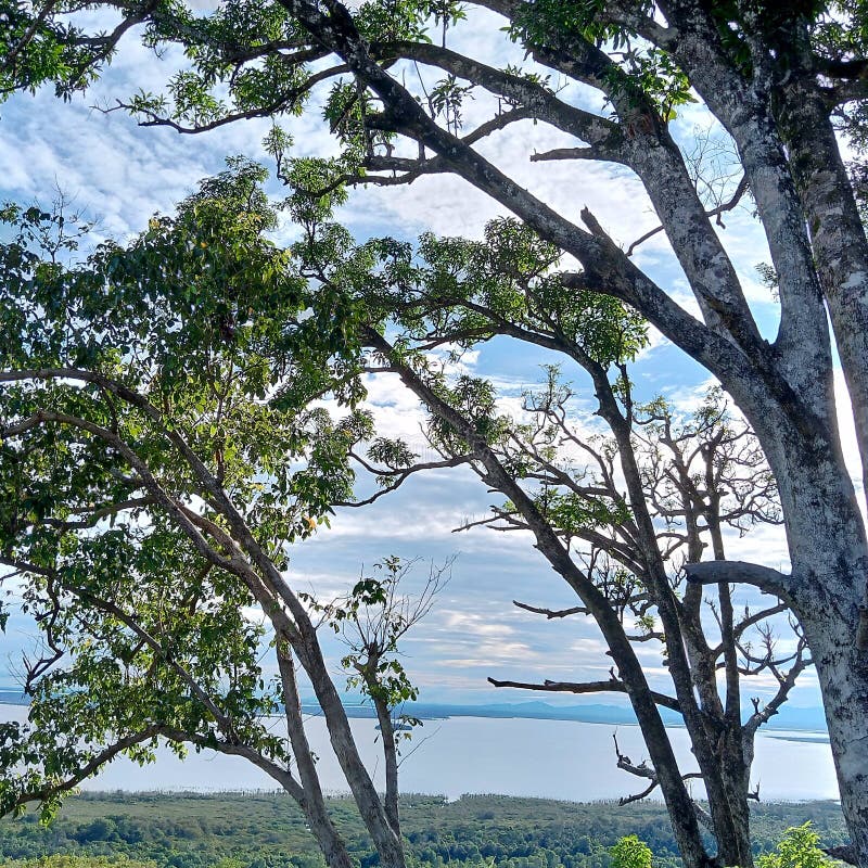 View of Sentarum Lake from Babi Babi Hill Stock Image - Image of babi ...