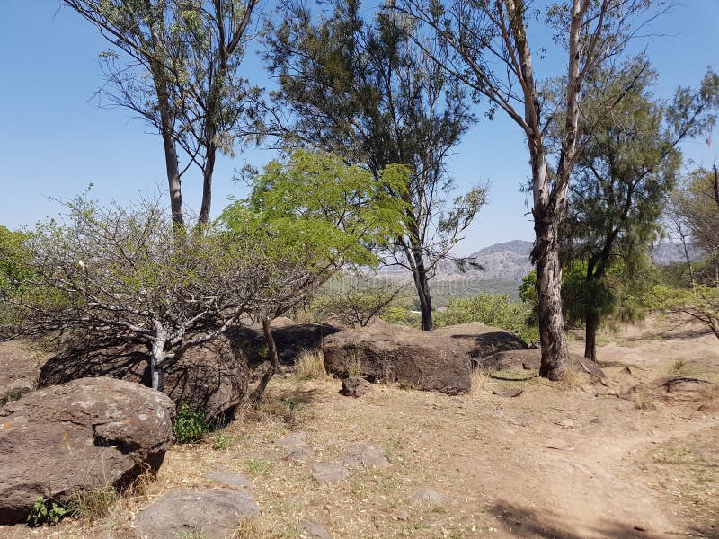 View in the Sentinel Forest, with Several Stones and Trees Stock Image ...