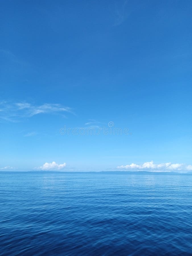 257 Seram Stock Photos - Free & Royalty-Free Stock Photos from Dreamstime