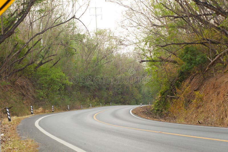 Sharp Curve Road in Forest Hill Stock Photo - Image of line, curve ...